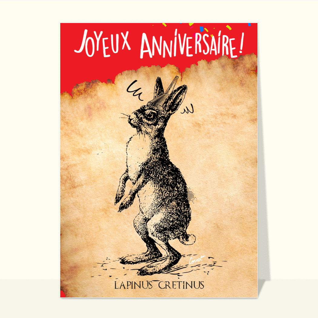 Lapinus Cretinus : Anniversaire hilarant ! - Carte anniversaire humour
