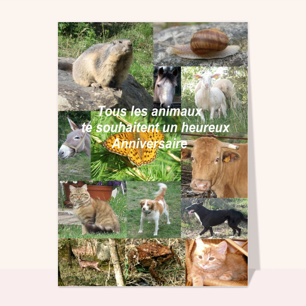 Tous les animaux fêtent ton anniversaire - Carte anniversaire animaux