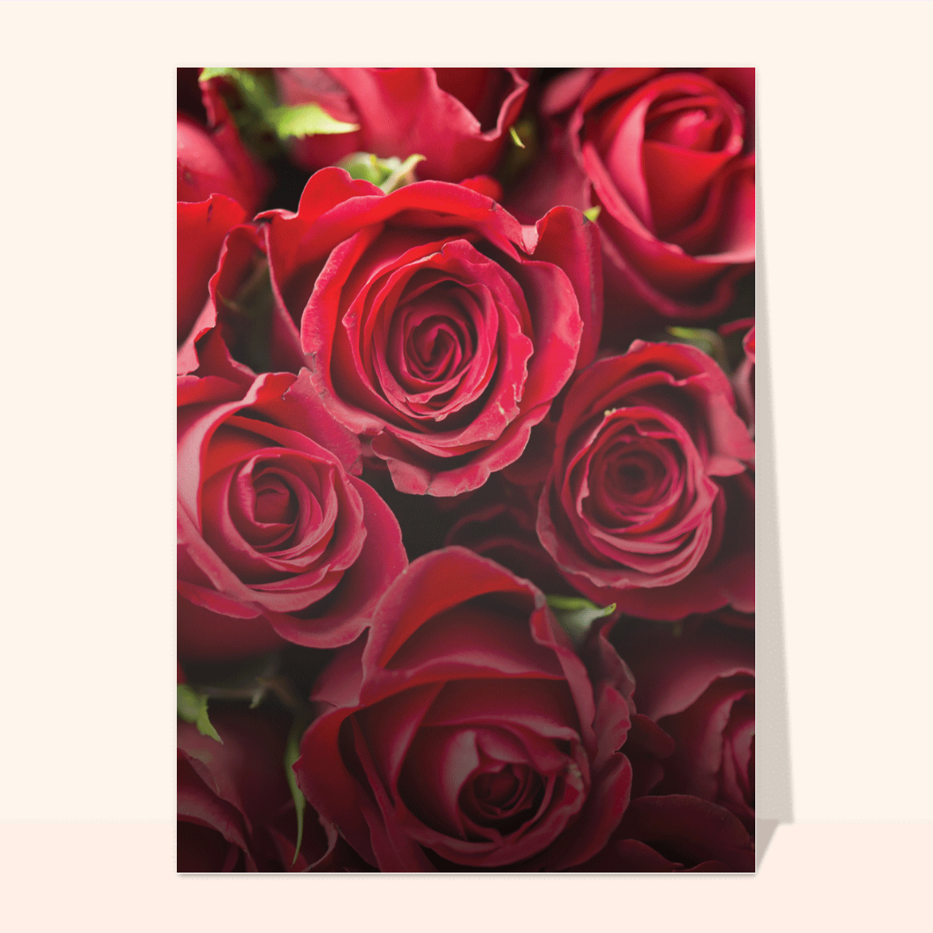 Roses rouges, symbole de notre amour - Carte d'amour et st valentin