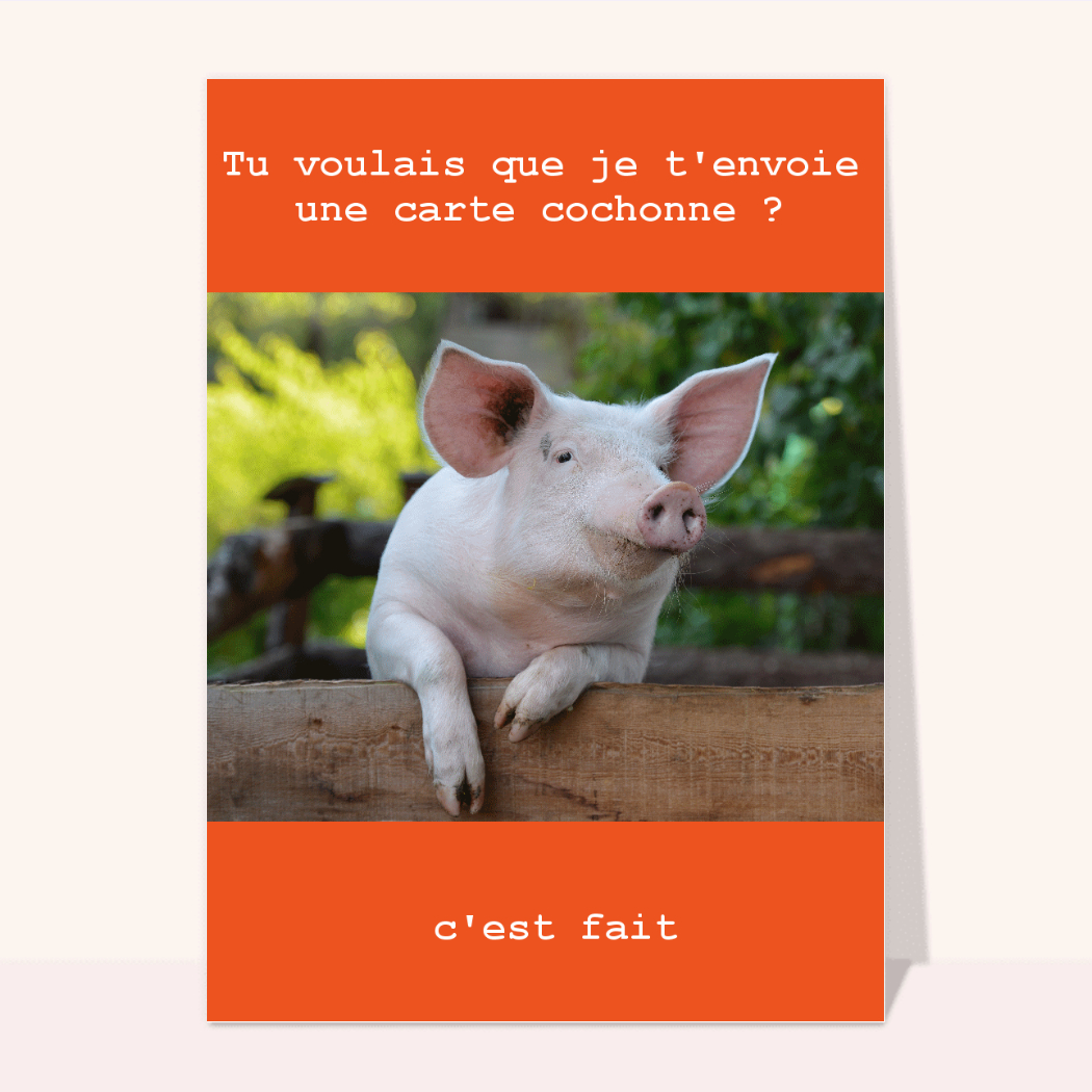 Une carte cochon pour rigoler entre amis - Carte humour