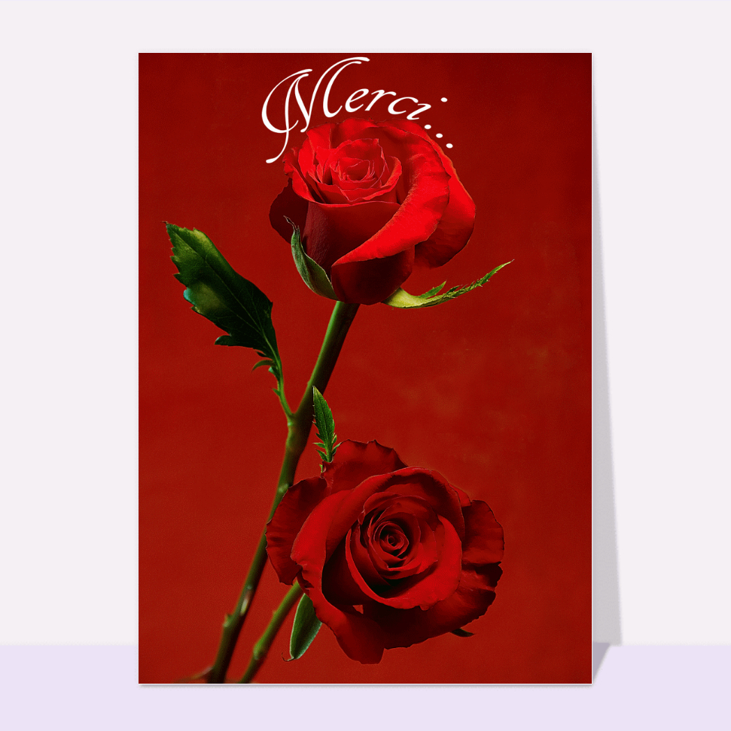 Roses rouges pour exprimer ma gratitude - Carte remerciement