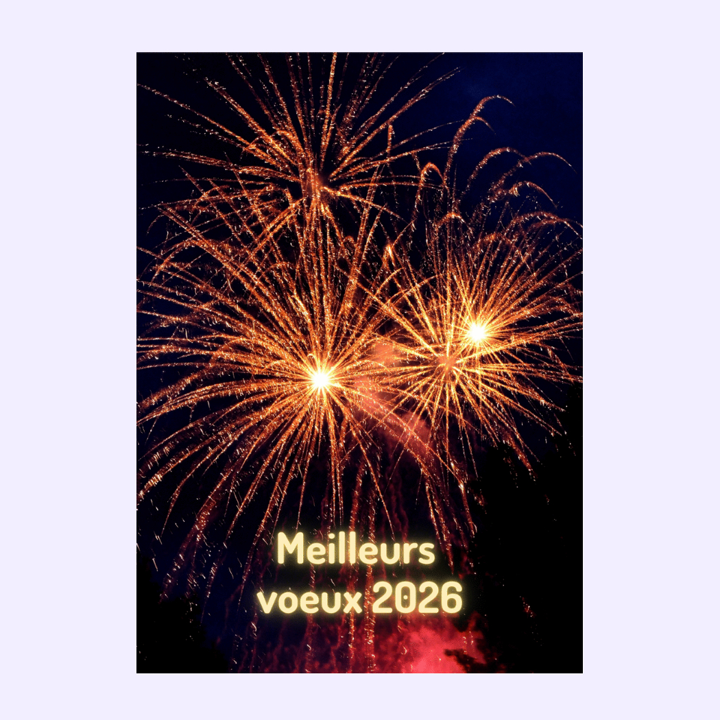 Feux d'artifice brillants pour 2026 - envoi rapide