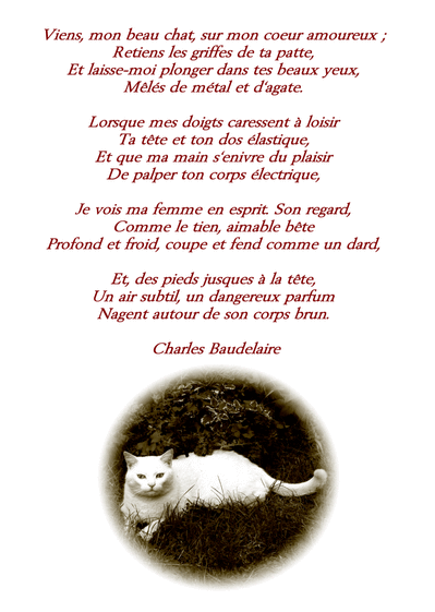 Carte Chat Et Baudelaire En N Et B : Envoyer une Carte De Poèmes dès 0 ...